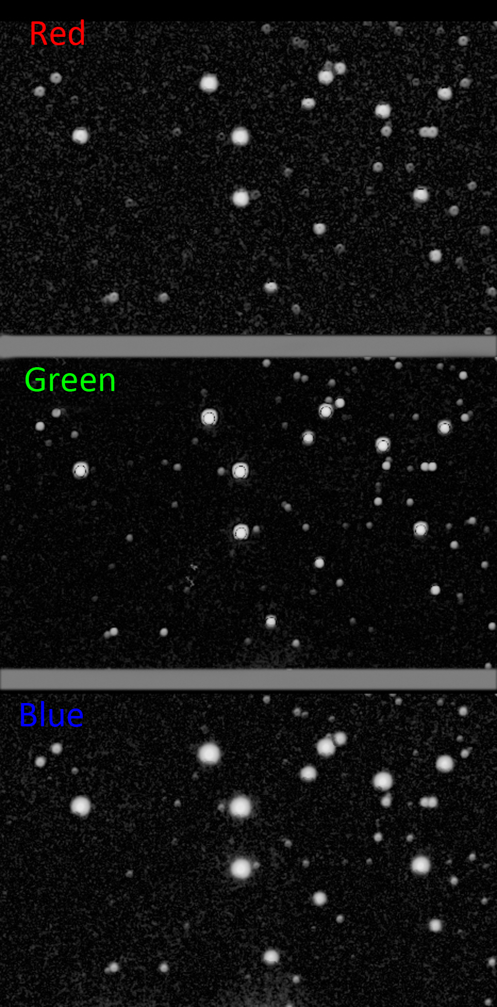 Repairing Stars - Professor Morison's Astronomy Digest